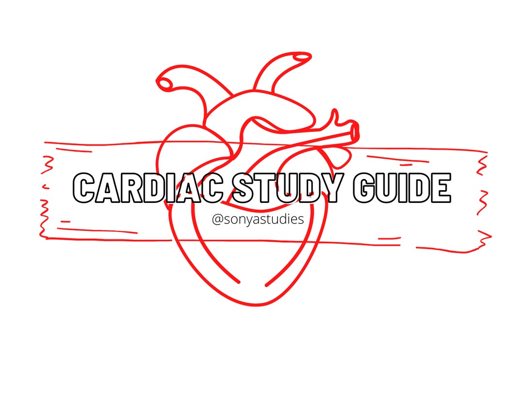 Cardiac Study Guide - Nursing - Etsy