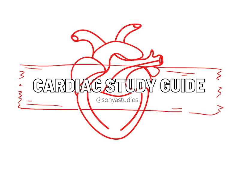 Cardiac Study Guide - Nursing - Etsy