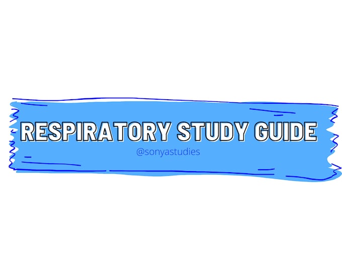 Respiratory Study Guide Nursing - Etsy