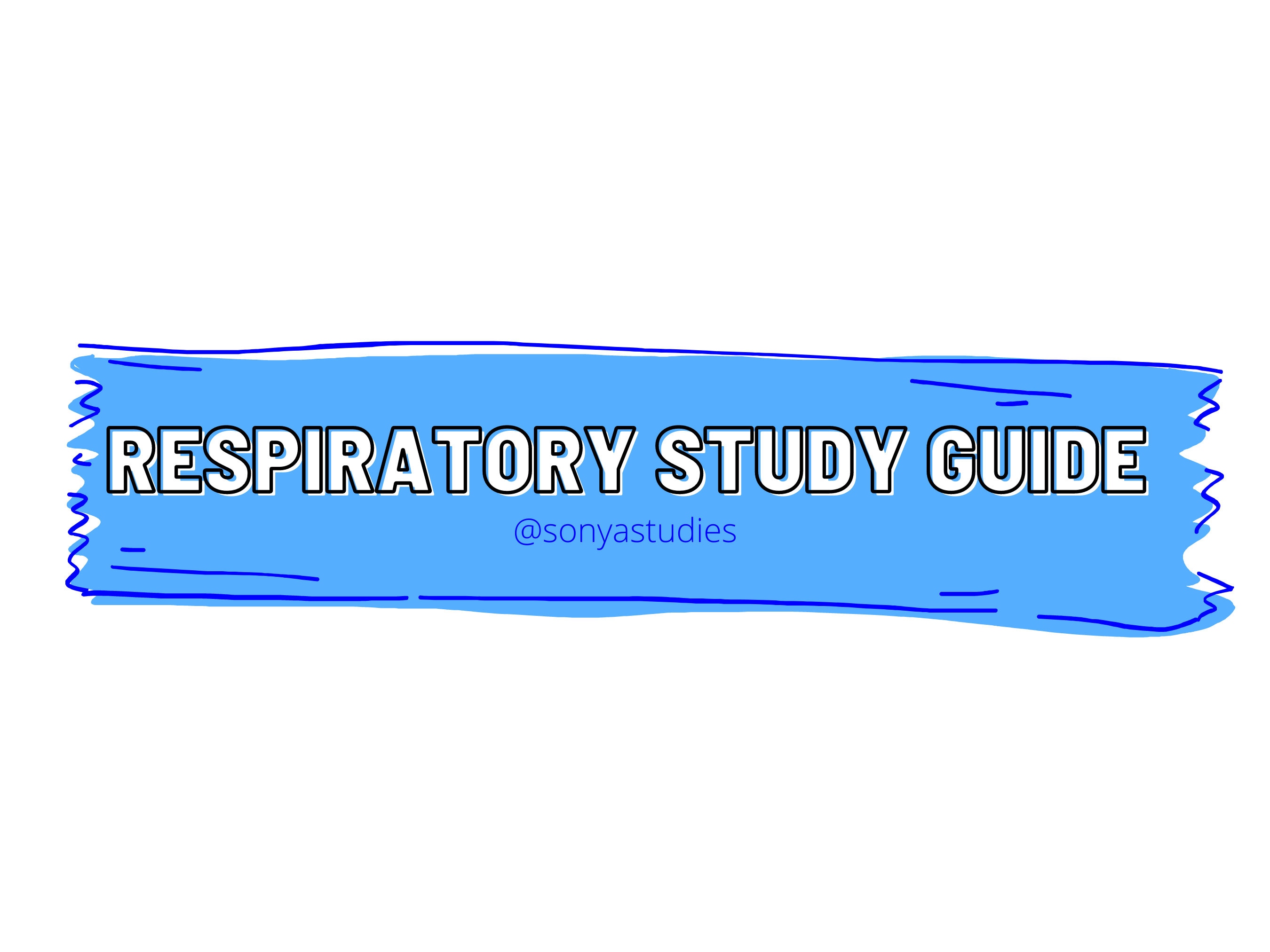 Respiratory Study Guide Nursing - Etsy