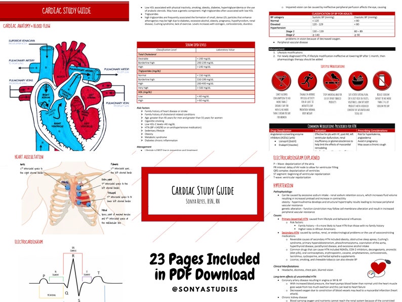 Cardiac Study Guide - Nursing - Etsy