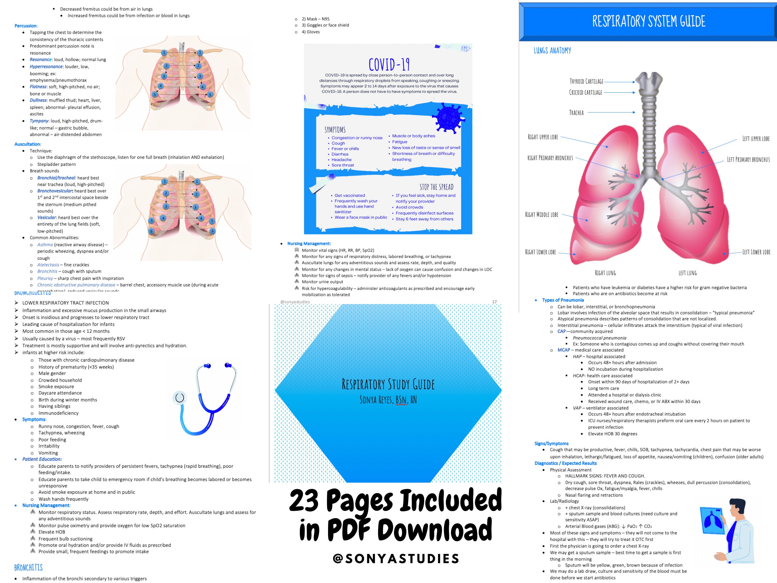 Respiratory Study Guide Nursing - Etsy