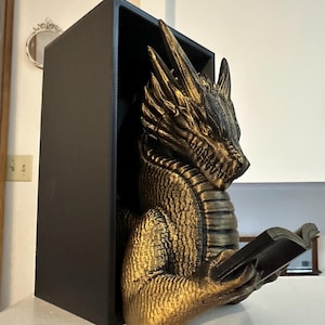 Dragon Book Nook, Book Nooks, Bookish Merch, Bookshelf Decor, Book ...