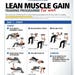 USN Lean Muscle Gain Training Plan, Exercise and Training for Men ...