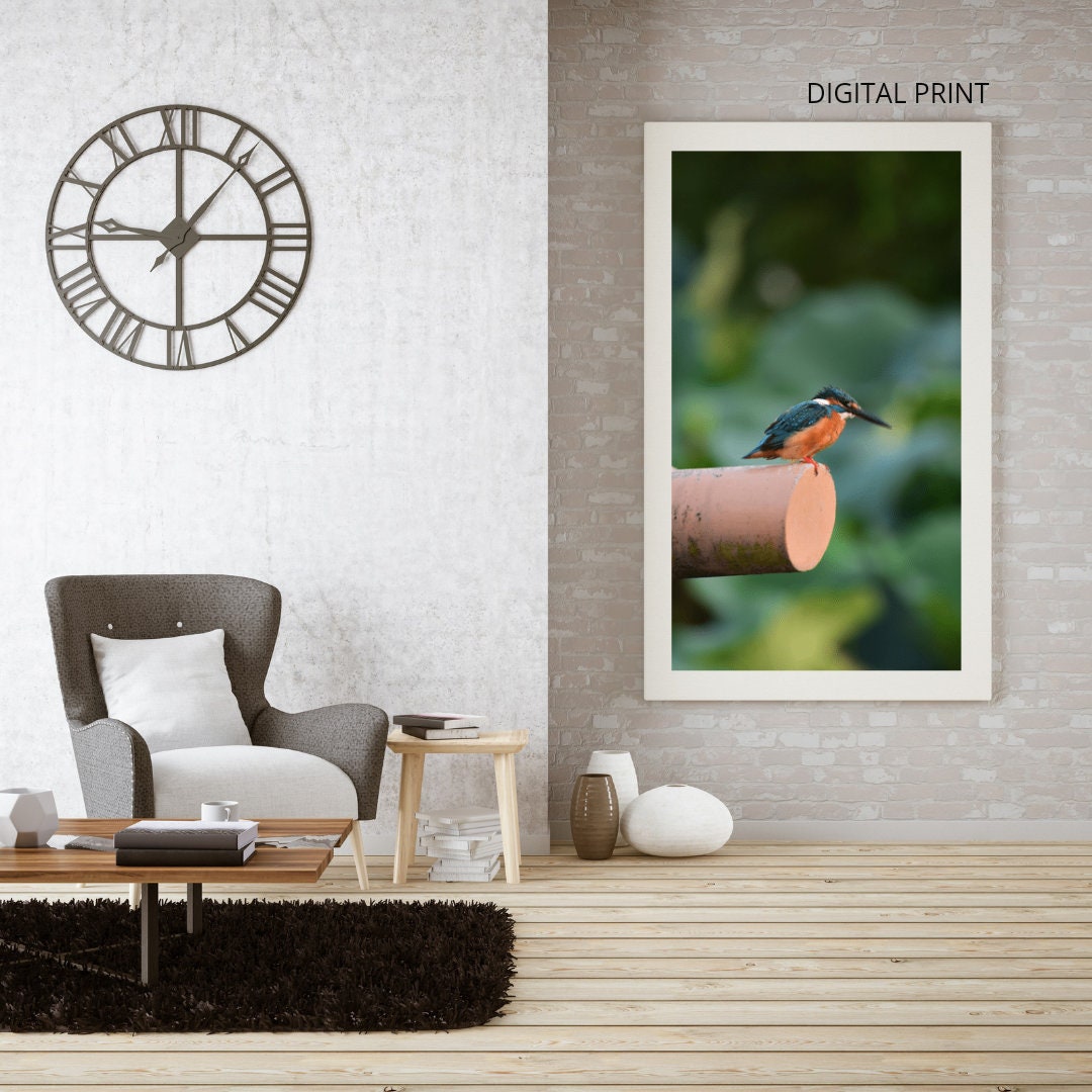 Wildlife Photography, Wall Decore, Bird Poster, Digital Print, We Are ...