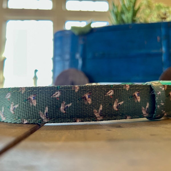 Hunting Dog Collars - Etsy