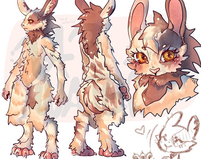 Furry Full Body Reference Sheets - Etsy