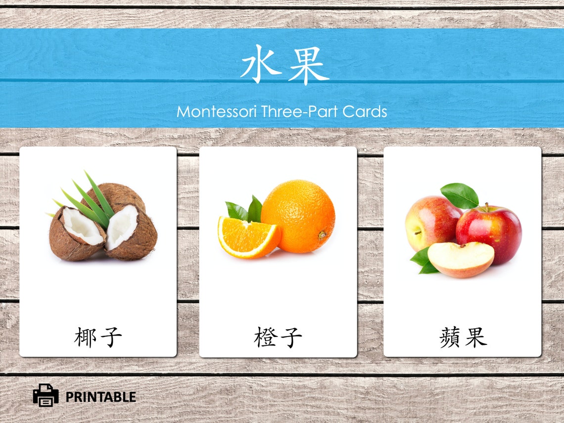 Fruit Chinese Flashcards Montessori Three-part Cards - Etsy
