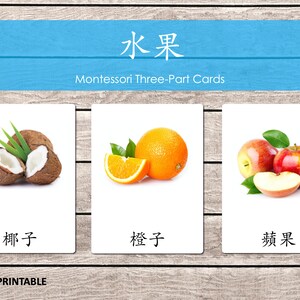 Fruit Chinese Flashcards Montessori Three-part Cards - Etsy