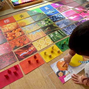 Color Matching Cards Chinese, Colors in Nature, Early Learning ...