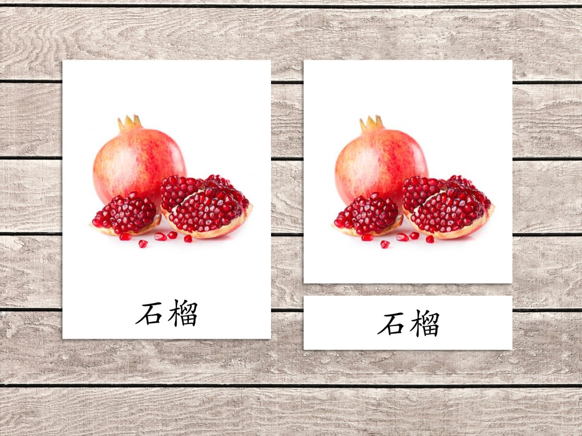 Fruit Chinese Flashcards Montessori Three-part Cards - Etsy