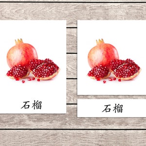 Fruit Chinese Flashcards Montessori Three-part Cards - Etsy