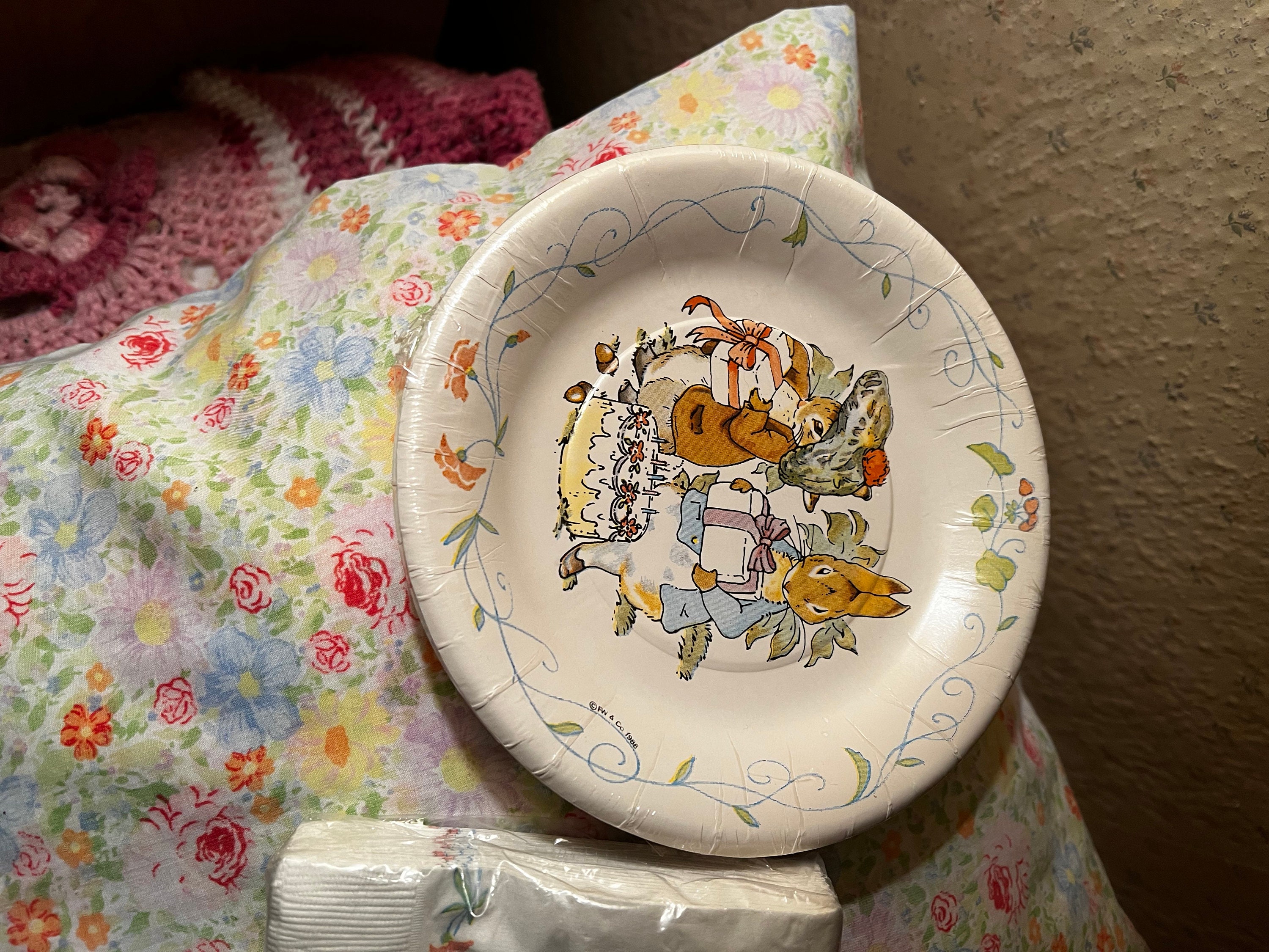 Peter Rabbit Plates and Napkins - Etsy