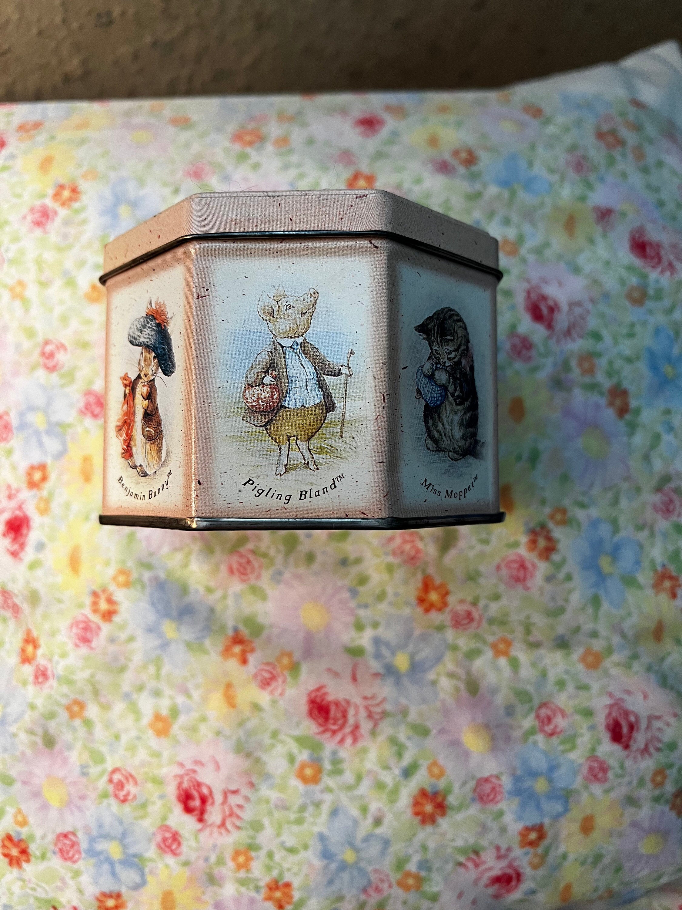 Peter Rabbit Tin - Etsy