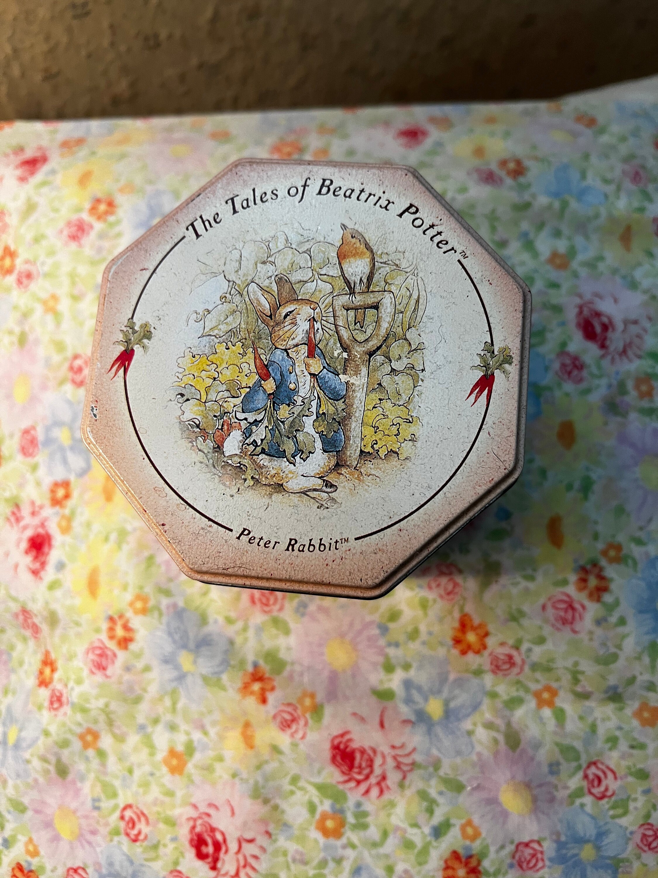 Peter Rabbit Tin - Etsy