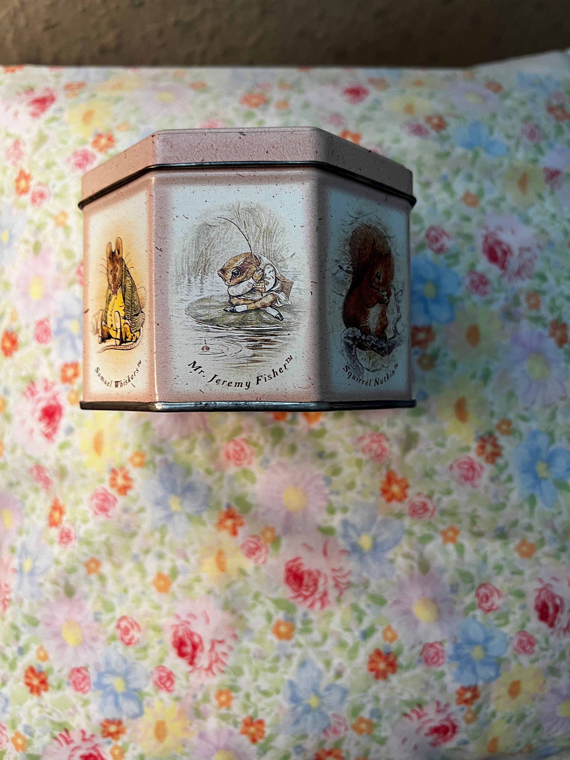 Peter Rabbit Tin - Etsy