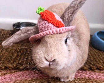 Carrot Hat | Etsy