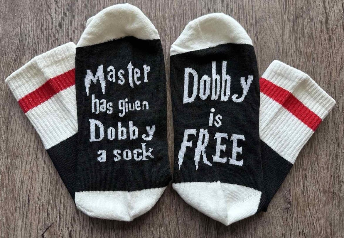 Master Has Given Dobby A Sock