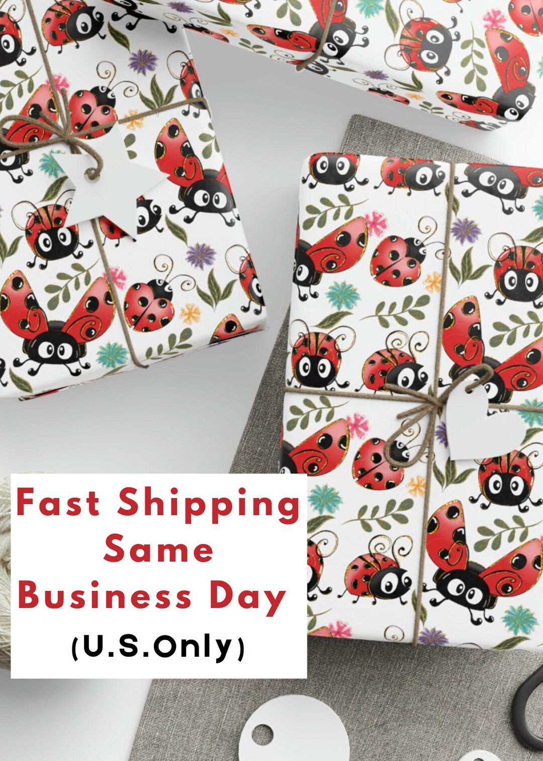 Ladybugs Wrapping Paper, Ladybug Birthday Gifts, Ladybugs Gift Wrapping ...