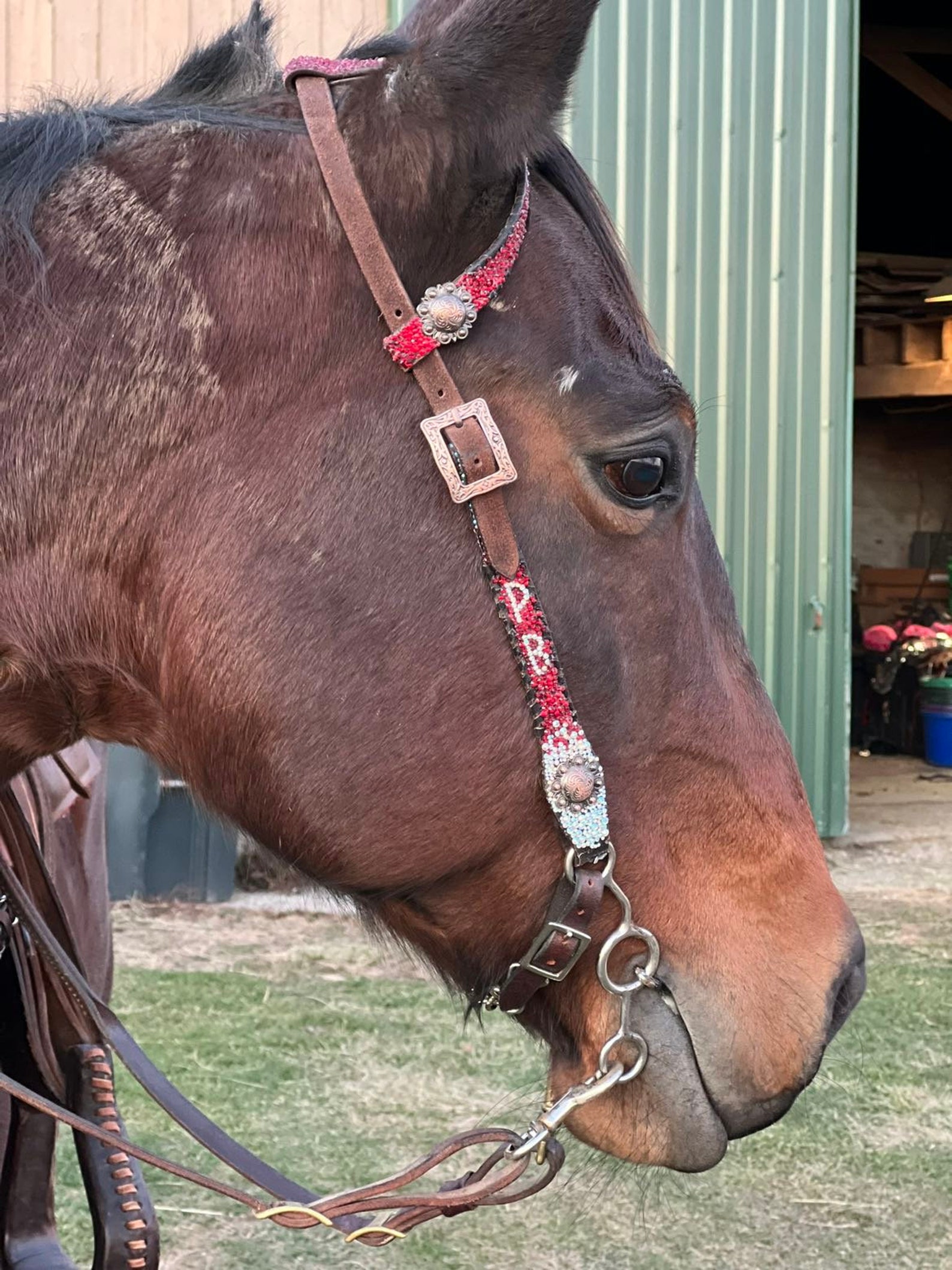 Custom One Earred Headstall - Etsy