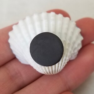 Underwater Scene Seashell Magnet With Octopus - Handsculpted Polymer ...