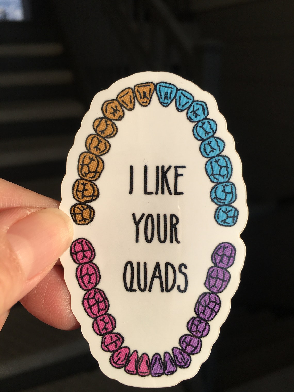 I Like Your Quads Dental Sticker Dental Student Dental - Etsy