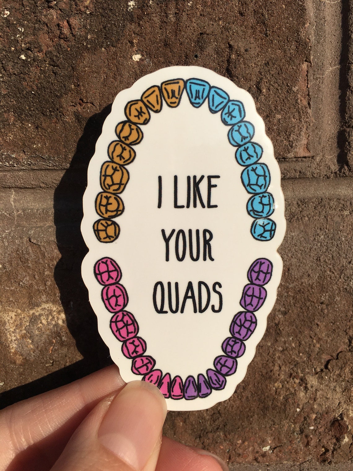 I Like Your Quads Dental Sticker Dental Student Dental - Etsy