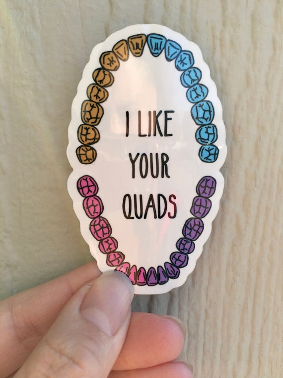 I Like Your Quads Dental Sticker Dental Student Dental - Etsy