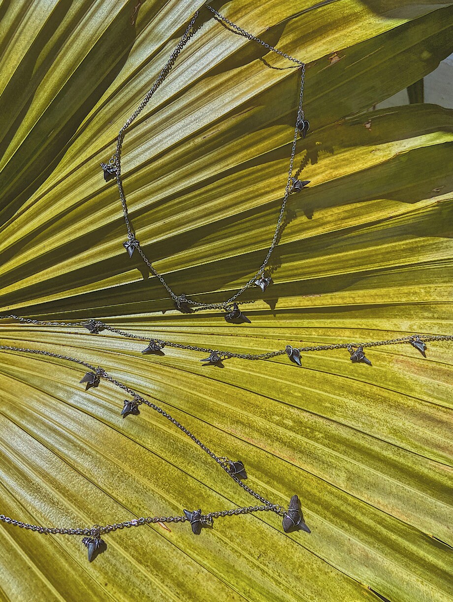 Shark Tooth Necklace | Shark Teeth | Beach Gift | Summer Jewelry ...