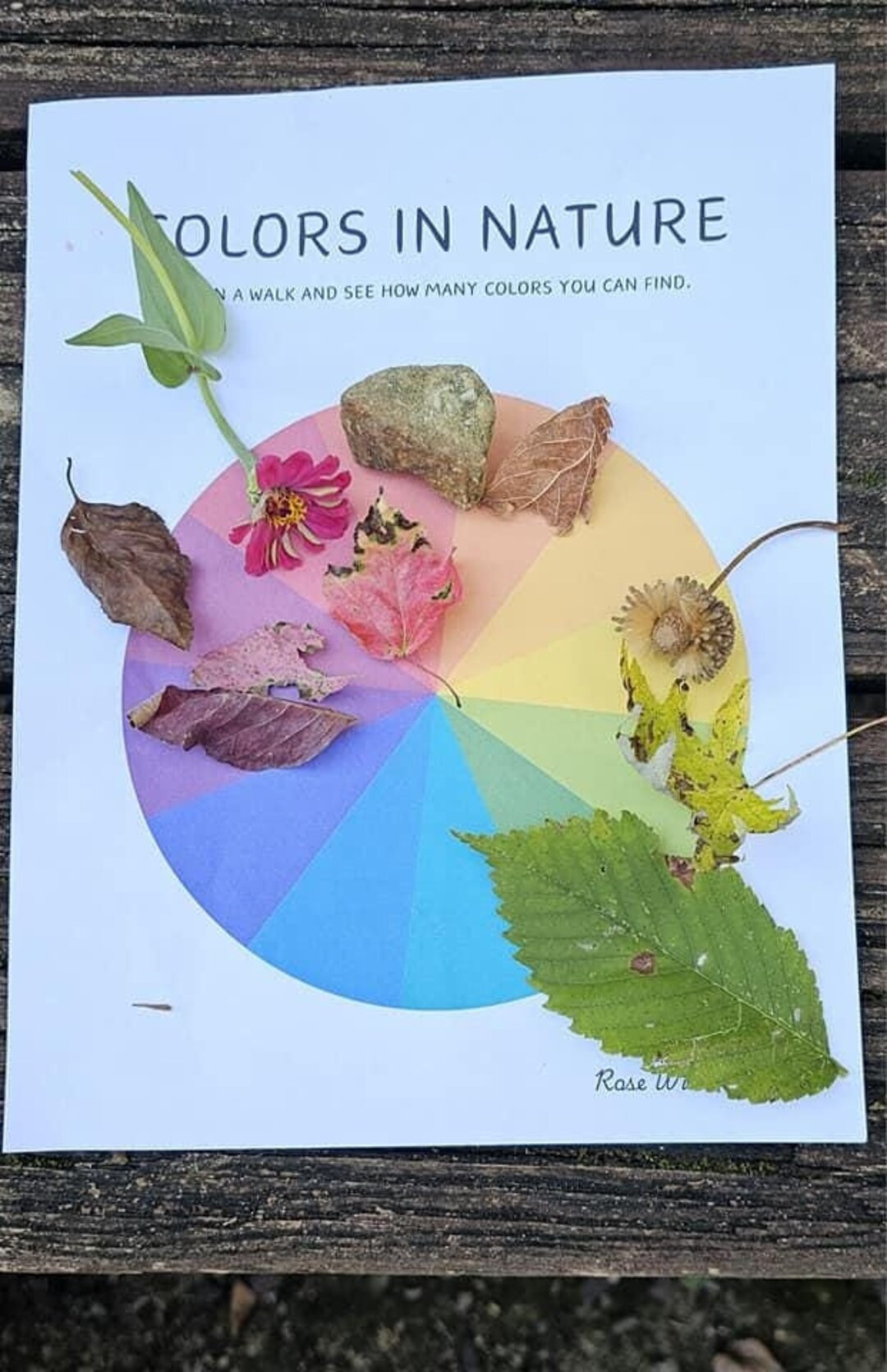 Colors in Nature Scavenger Hunt, Homeschooling, Kindergarten, Preschool ...