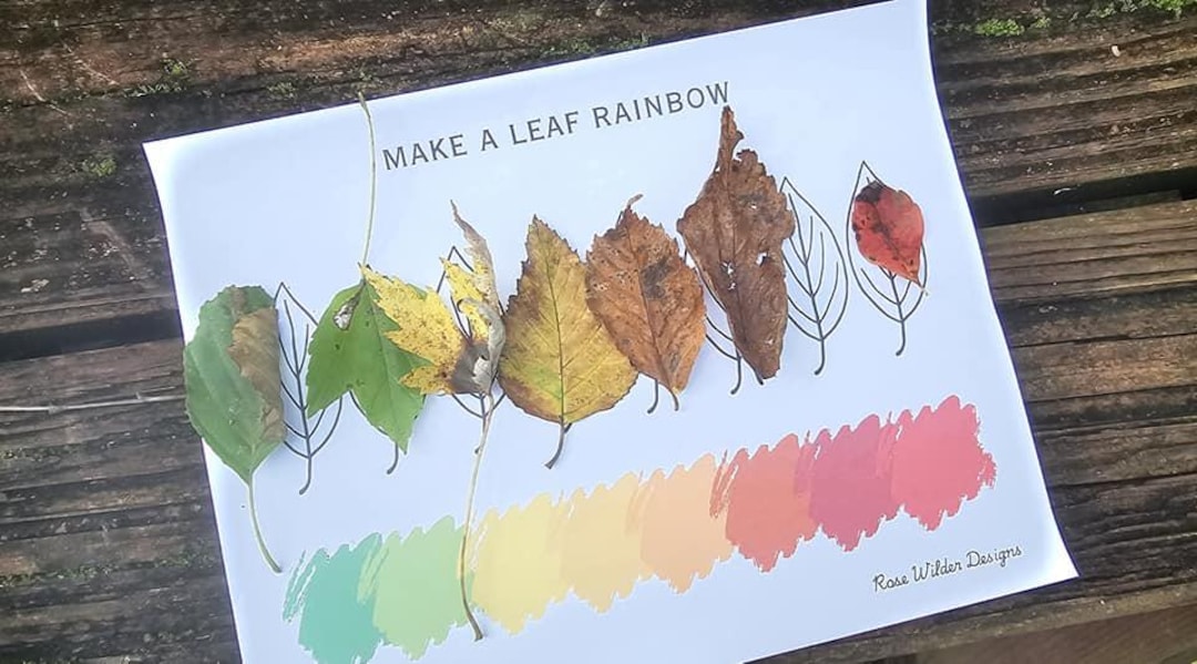Autumn Leaf Scavenger Hunt, Leaf Rainbow, Fall Nature Activities ...
