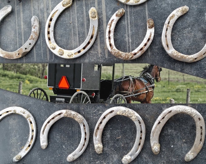 Used Farrier Rasp - Authentic Horse Shoeing File - Affordable ...