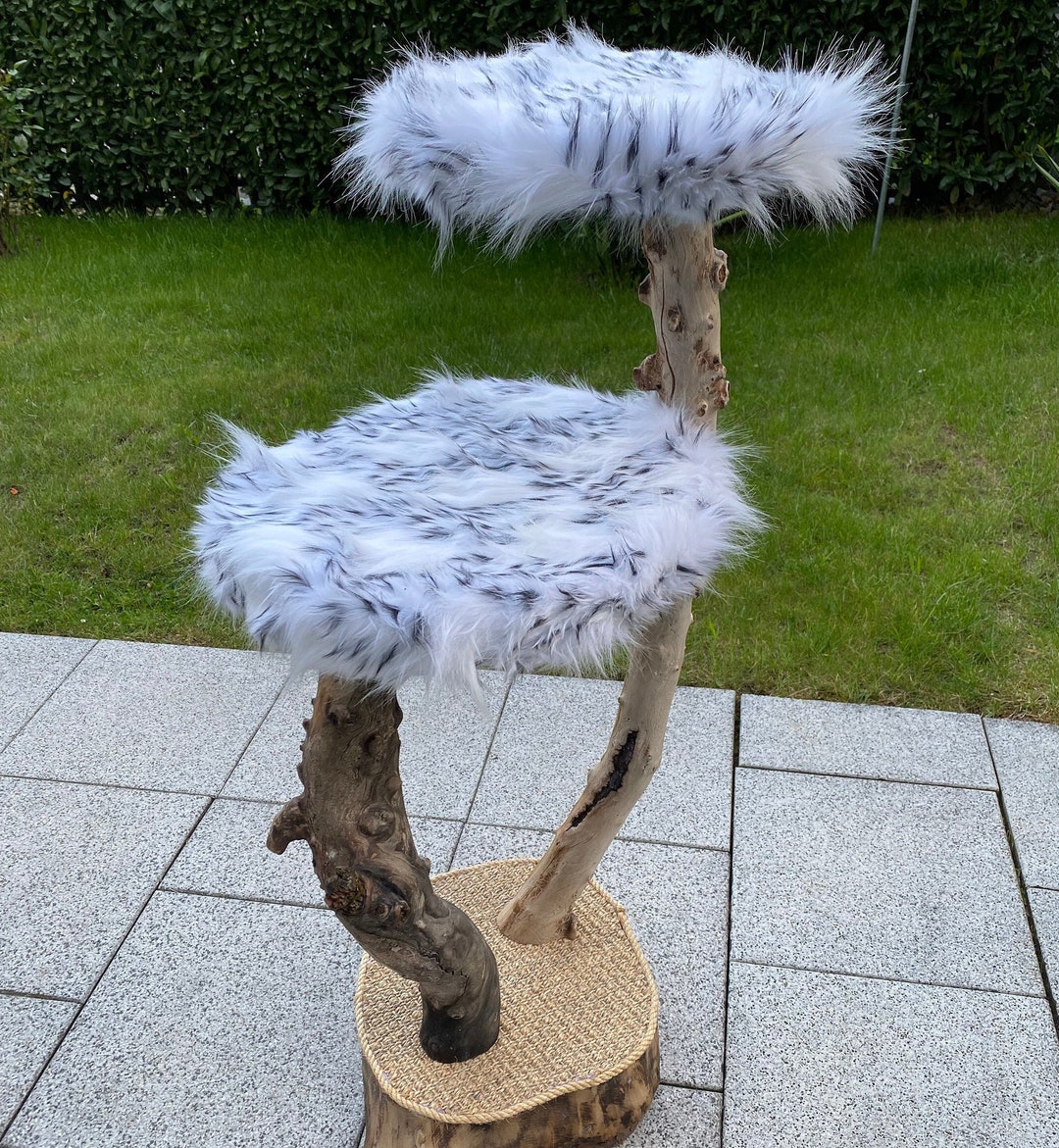 The Cat Dream Scratching Post Your Cat Will Love You for It - Etsy