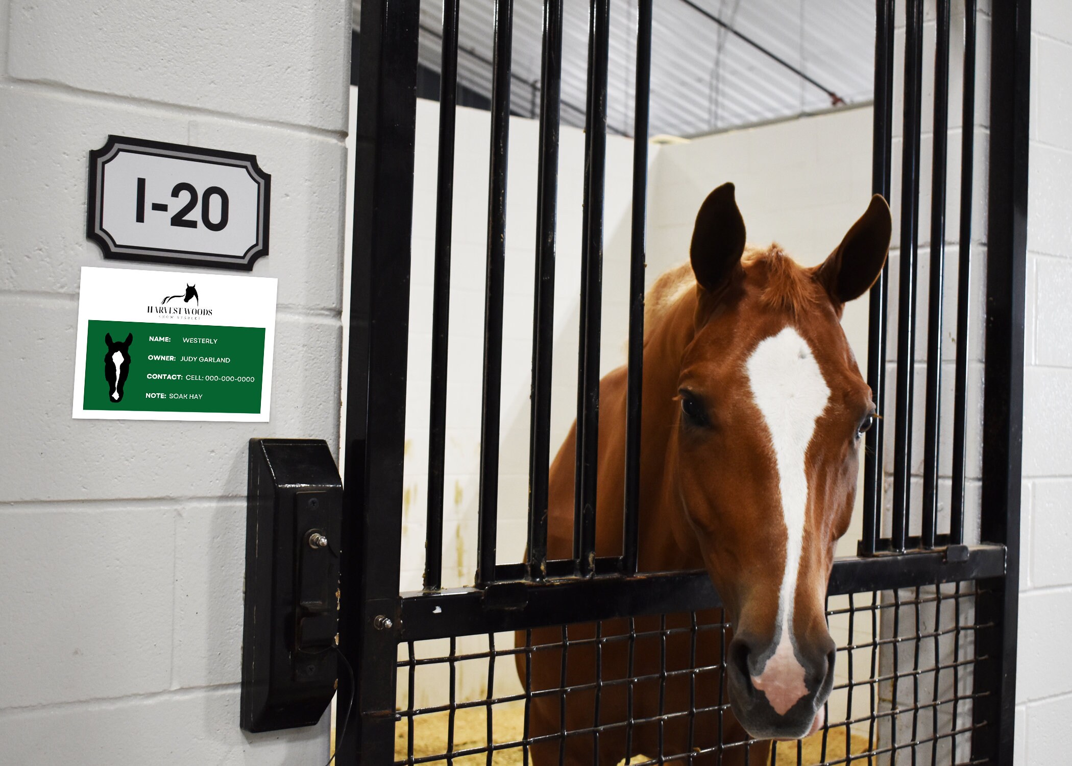 Editable Stall Card Template for Horse Shows With Logo and - Etsy