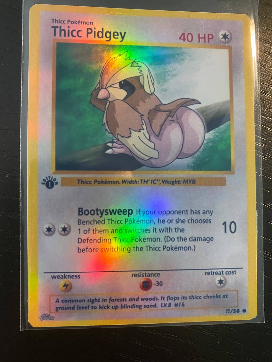 Thicc Pidgey Charizard Gx Ex Vmax V Pokémon Card Orica - Etsy Ireland