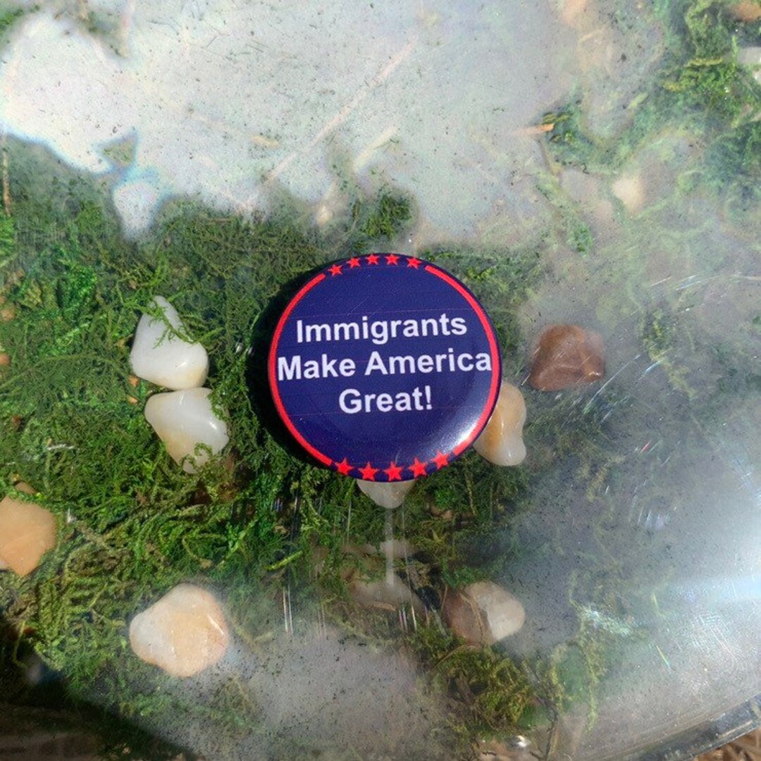 Immigrants Make America Great Pin - Etsy