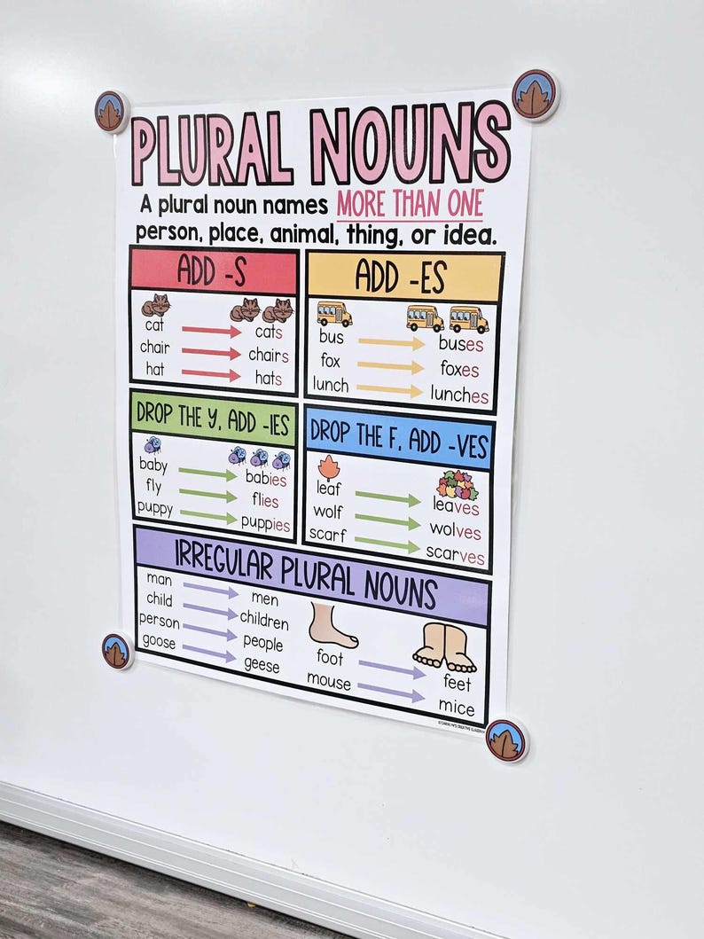 Plural Nouns Anchor Chart [hard Good] - Option 1 (with Pictures) - Etsy