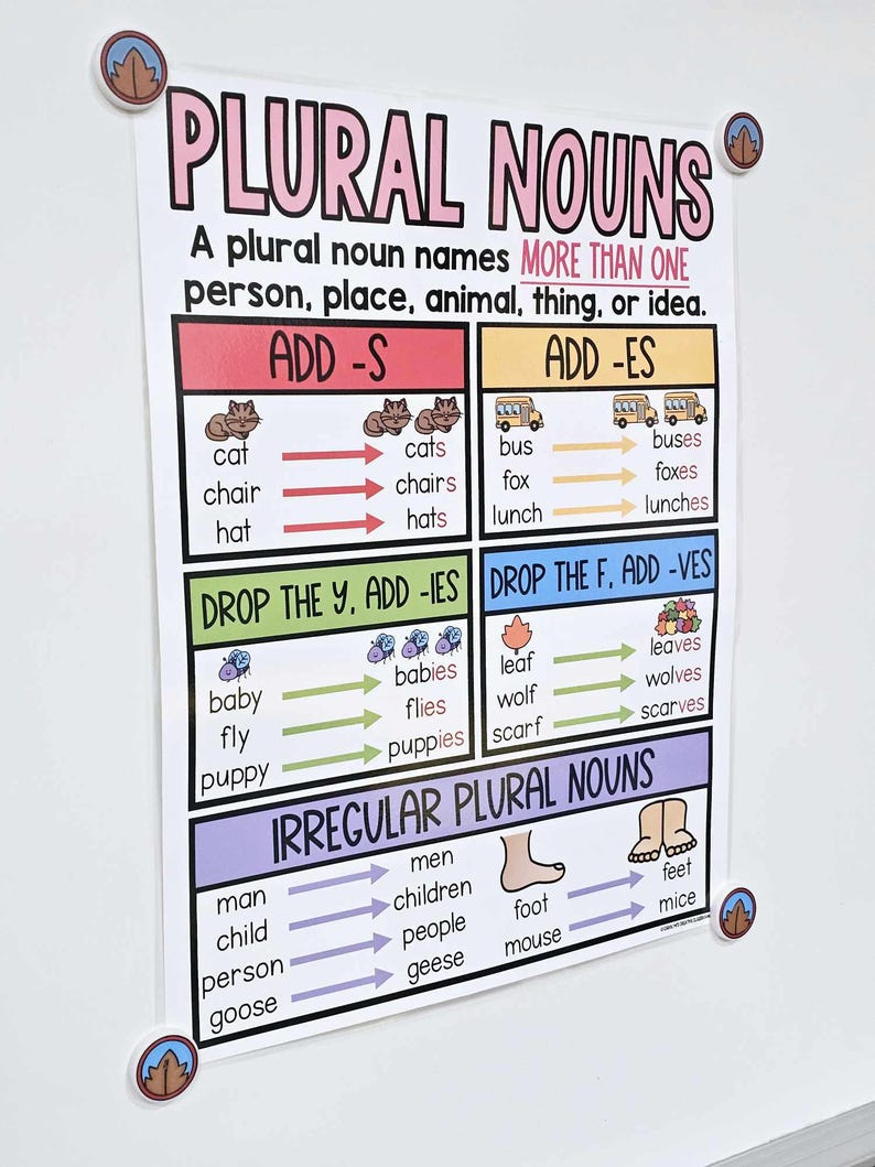Plural Nouns Anchor Chart [hard Good] - Option 1 (with Pictures) - Etsy
