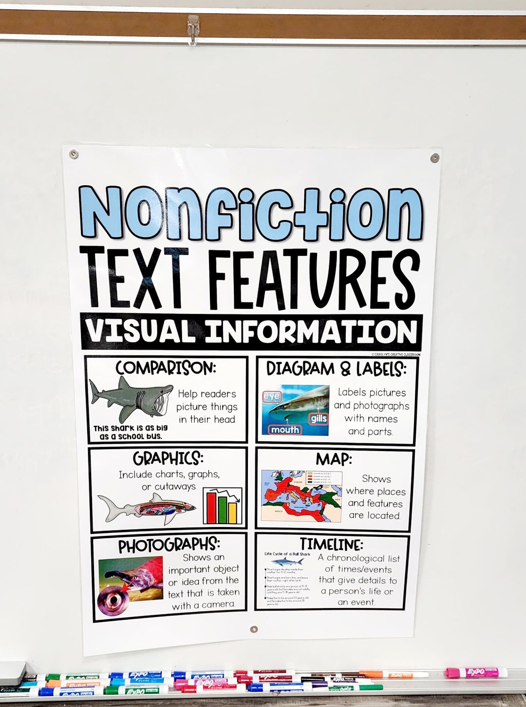 Nonfiction Text Features Anchor Chart [hard Good] - Option 3 - Etsy