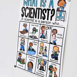 What is a Scientist Anchor Chart hard Good Option 1 - Etsy