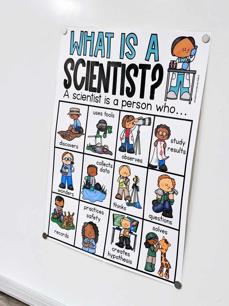 What is a Scientist? Anchor Chart [hard Good] - Option 1 - Etsy