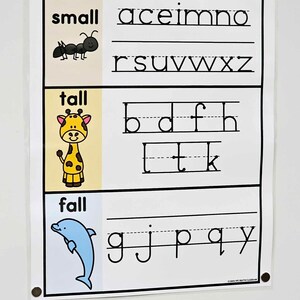 Small Tall Fall Anchor Chart [hard Good] - (DOLPHIN) Option #4 - Etsy