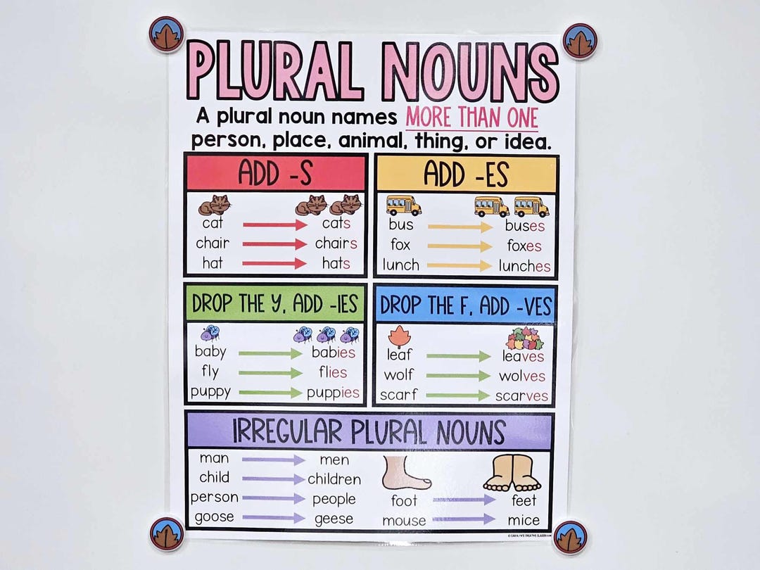 Plural Nouns Anchor Chart [hard Good] - Option 1 (with Pictures) - Etsy