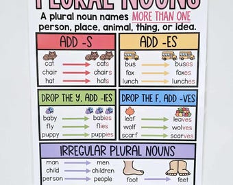 Plural Noun Anchor Chart