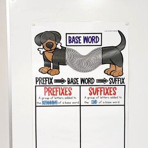 Prefix and Suffix Anchor Chart [hard Good] - Option 3 BASE WORD - Etsy