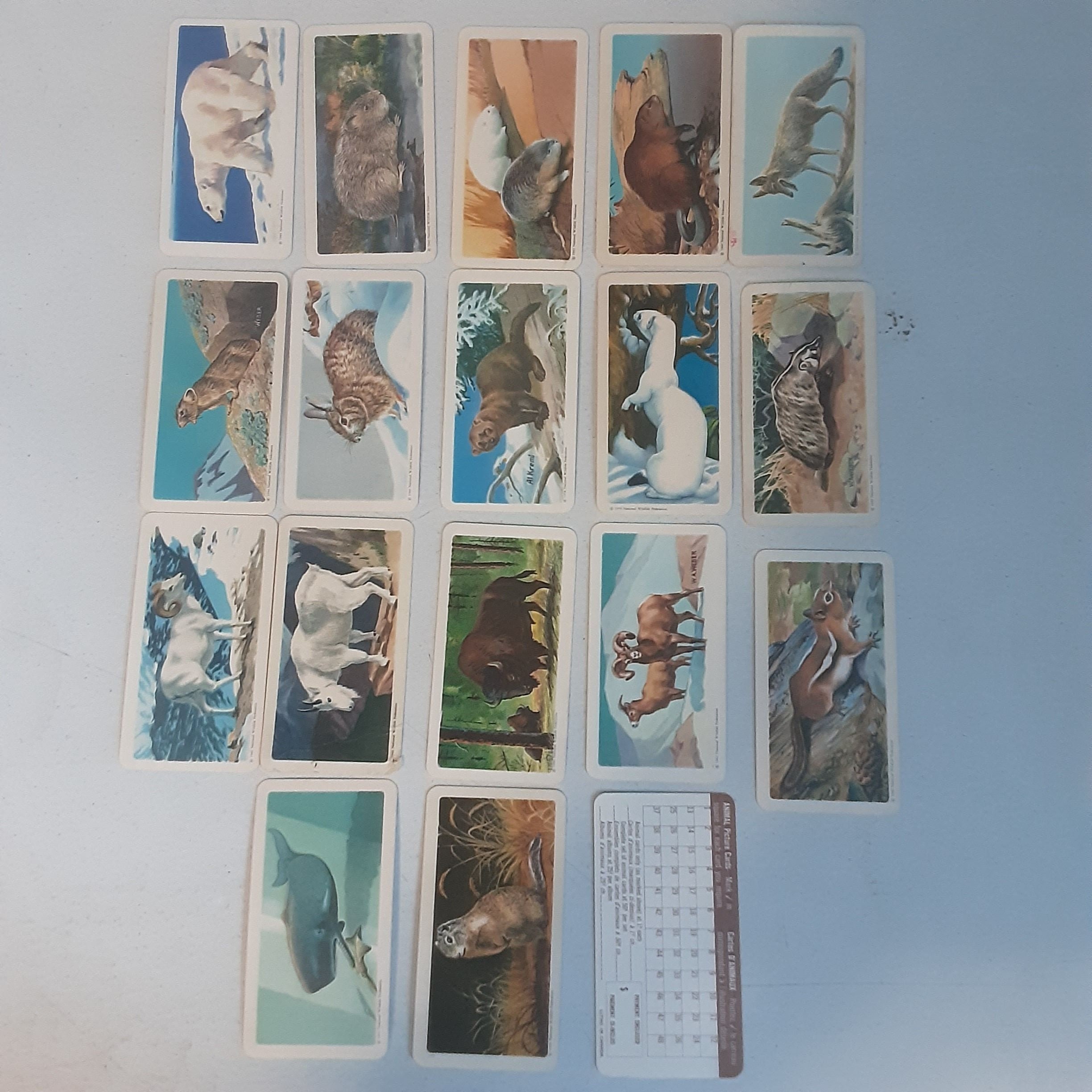 Vintage 1960 Brooke Bond Blue Ribbon / Red Rose Tea Card's Series 2 ...