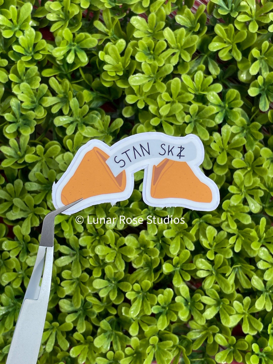 Stan Stray Kids Fortune Cookie| Stray Kids | Skz | Kpop | Skz Stay - Etsy