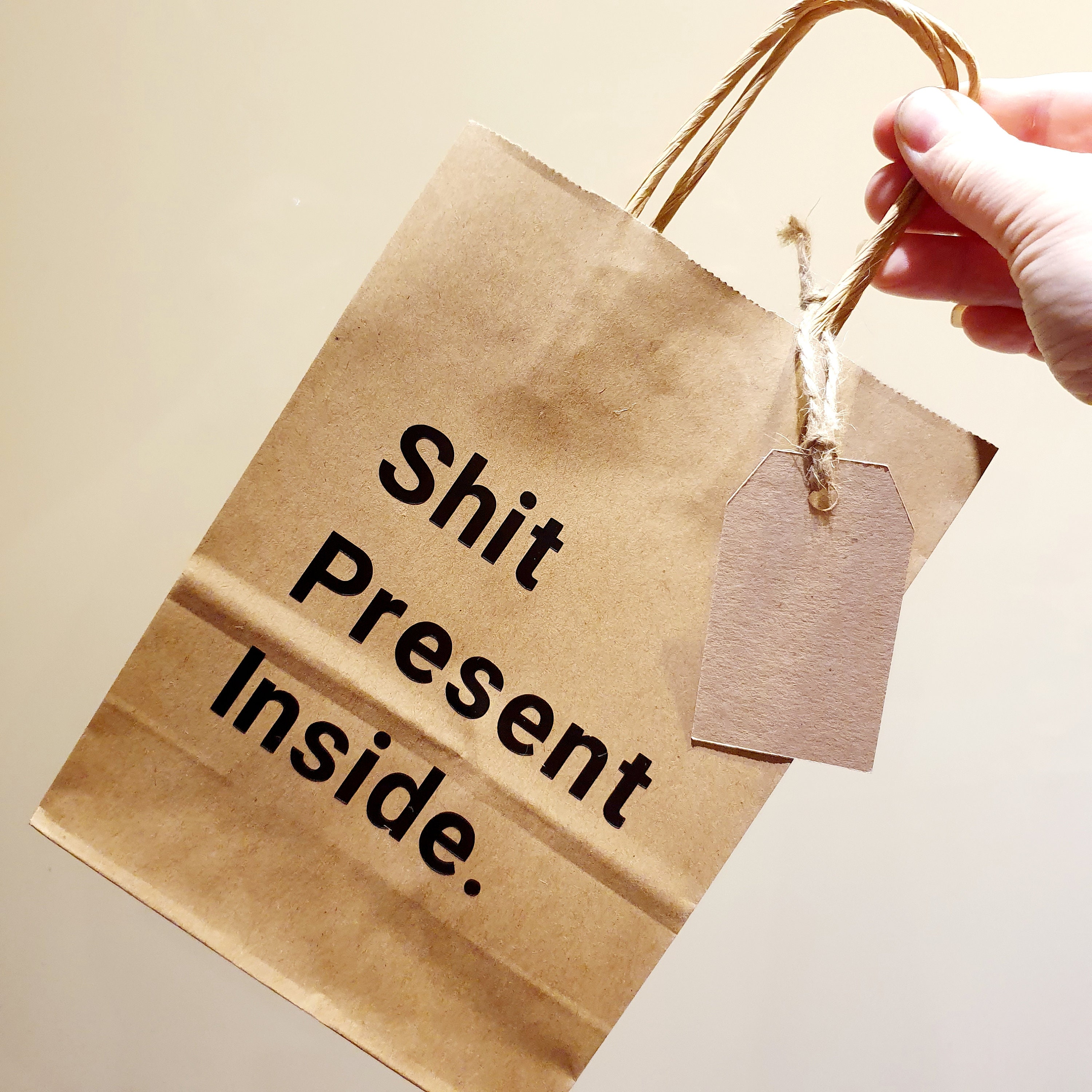 Shit Present Gift Bag Rude Adult Gift Sweary Bag Offensive Gifts - Etsy UK
