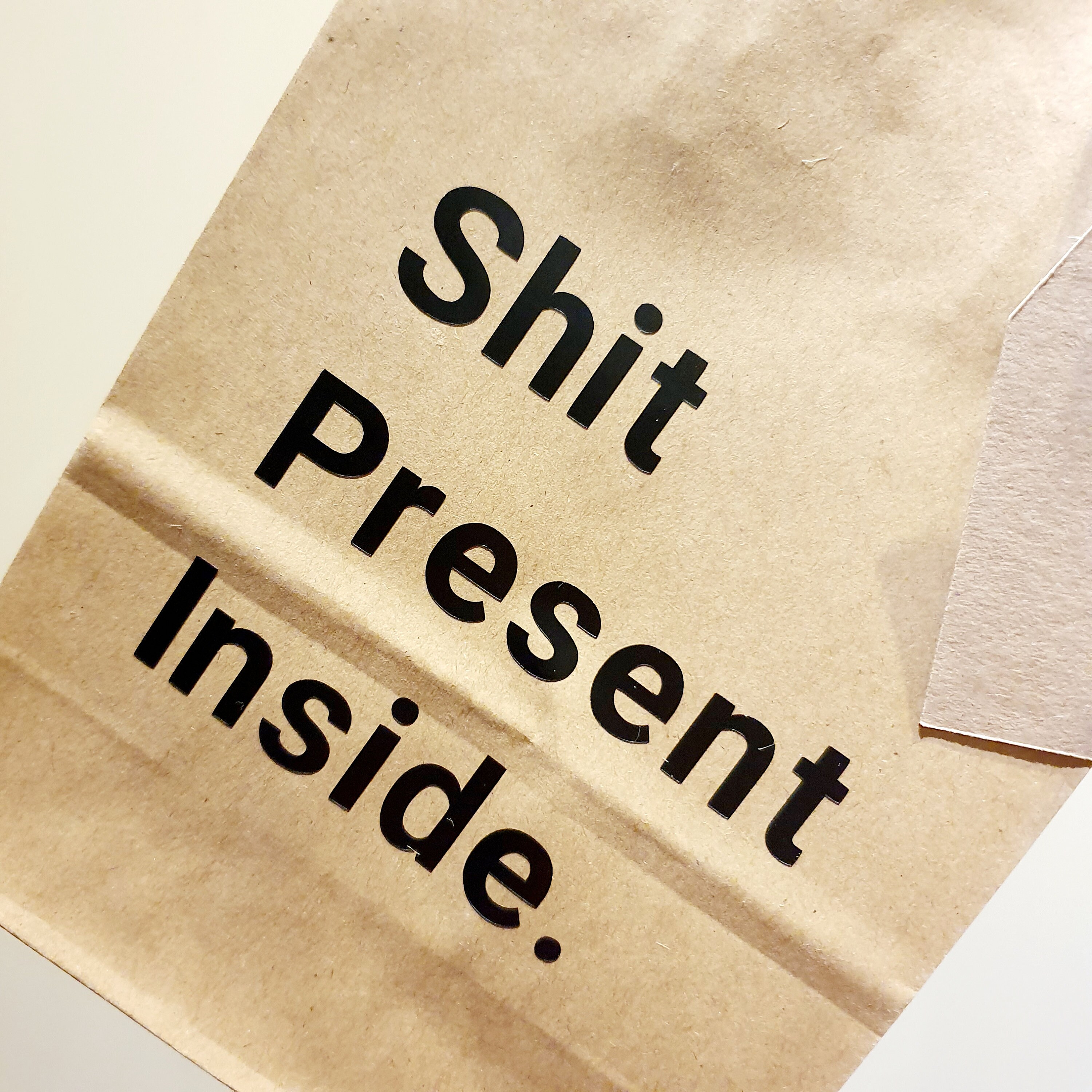 Shit Present Gift Bag Rude Adult Gift Sweary Bag Offensive Gifts - Etsy UK