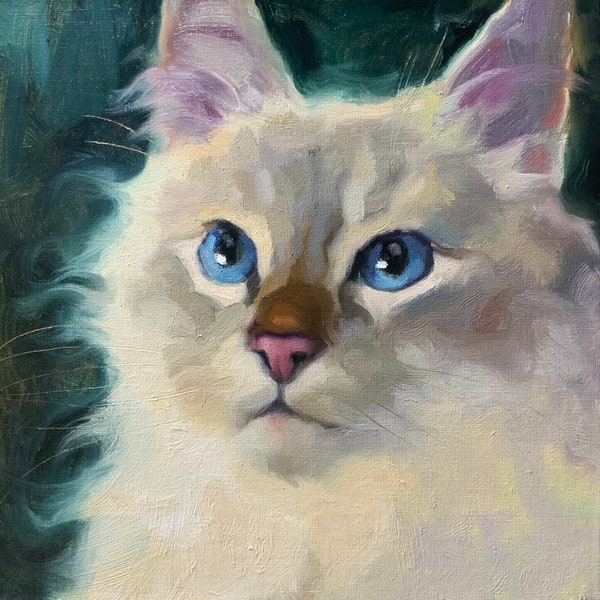 Ragdoll Cat Painting - Etsy